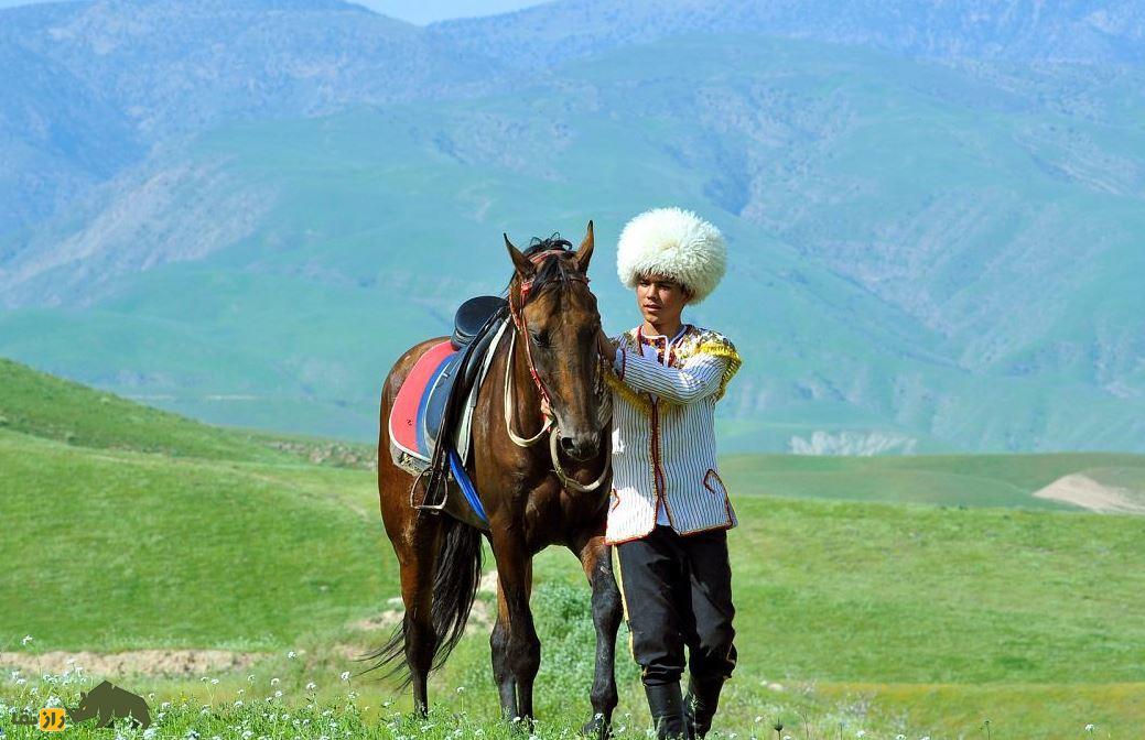 اسب ترکمن؛ یکی از قدرتمندترین اسب‌های جهان و جد «آخال تکه» که اسب مشهور ...