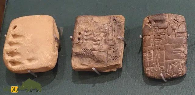 «کونگا؛ حیوان باستانی که نتیجه جفتگیری الاغ و اسب است، چطور بین
