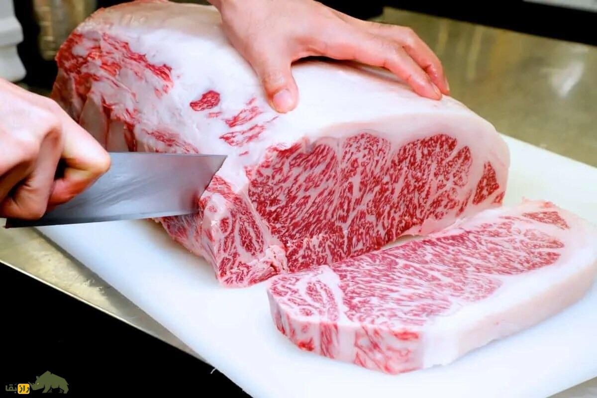 گاو «واگیو»؛ گران‌ترین نژاد گاو در جهان با هزار کیلو وزن که خوشمزه‌ترین گوشت جهان را دارد